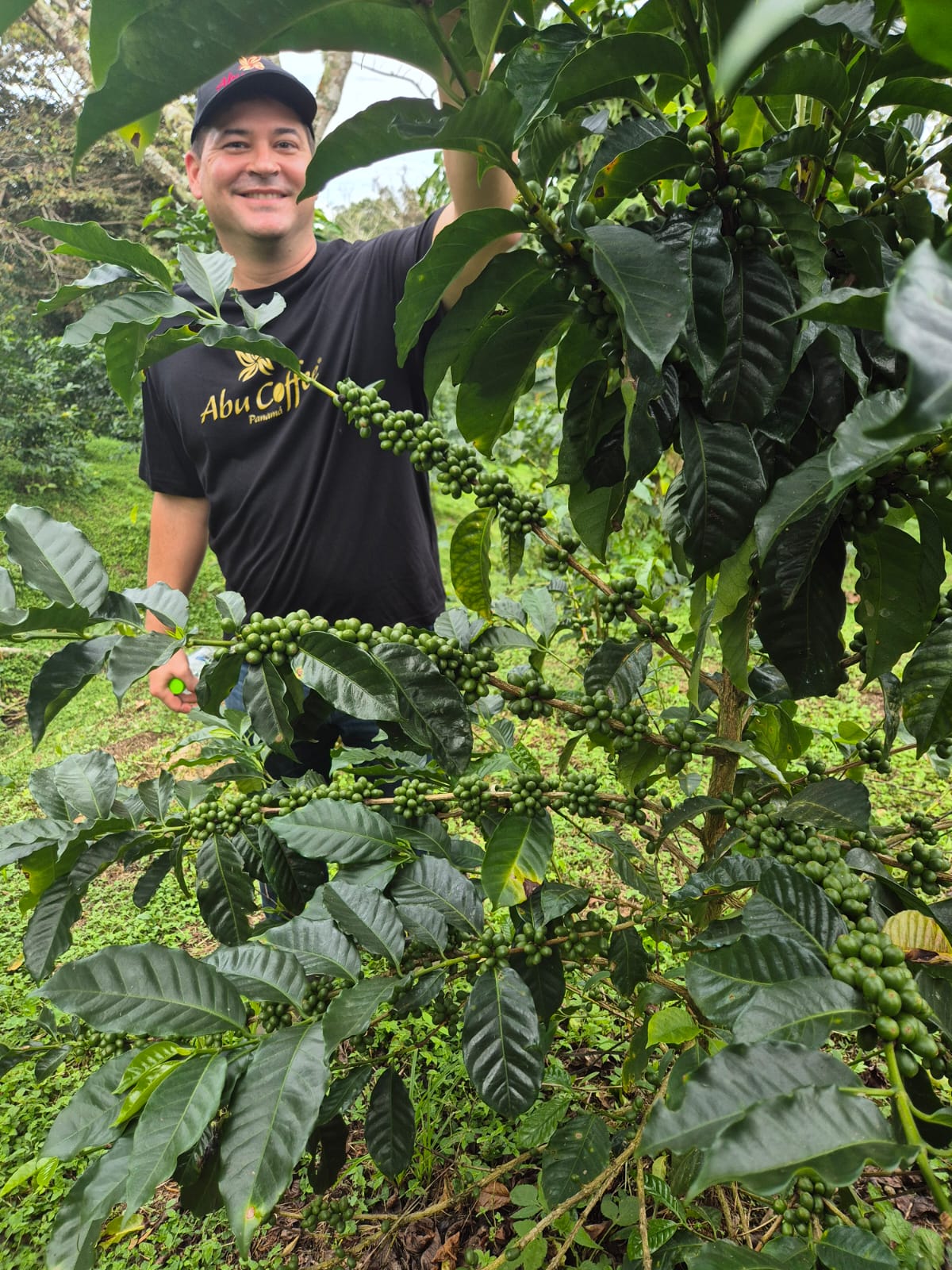 A day at Abu Geisha with Jose Luttrell – Coffea Circulor