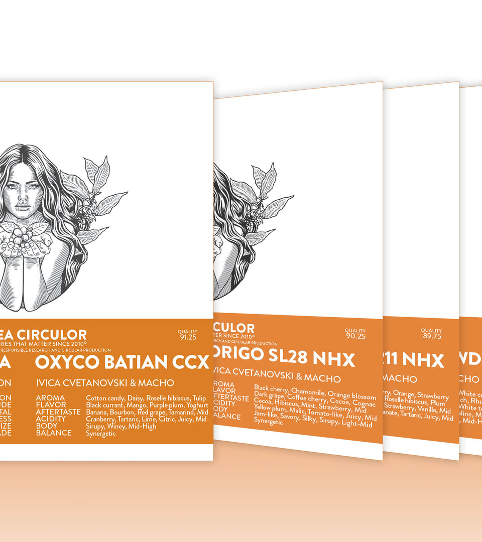 An Original, Conscious and Responsible Research and Circular Productio ...