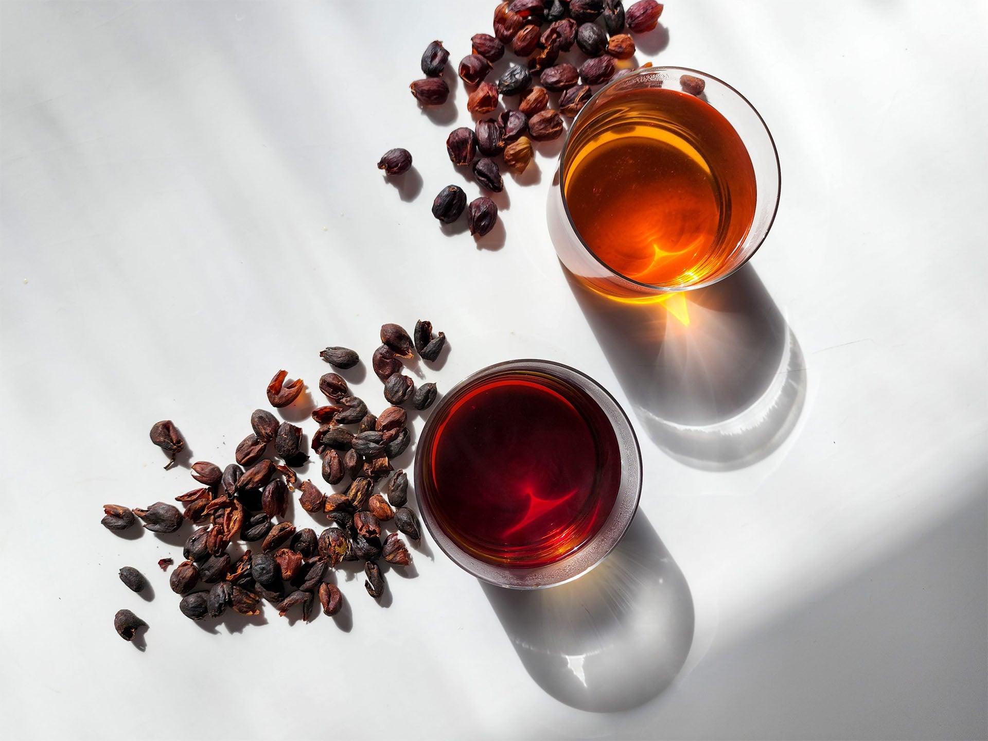 GUIDE – Coffea Circulor