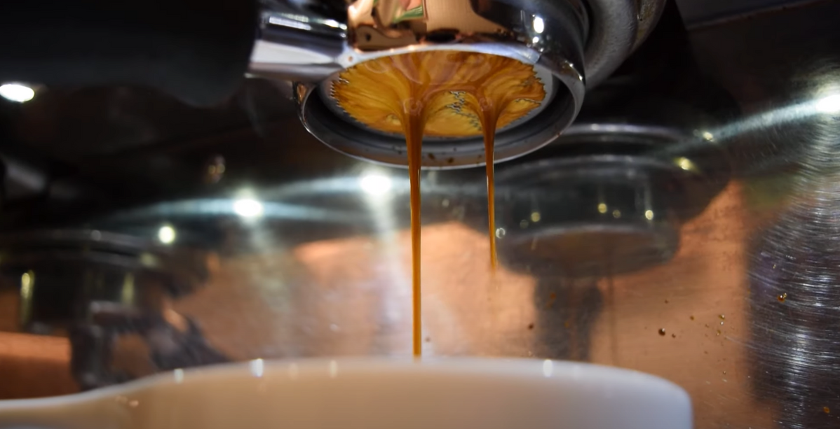 GUIDE – Coffea Circulor