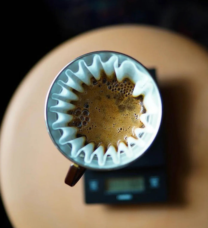 GUIDE – Coffea Circulor